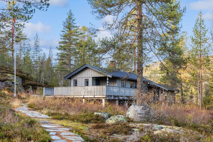 Hytte Blefjell  Stillhet 140 Min Fra Oslo - Norway