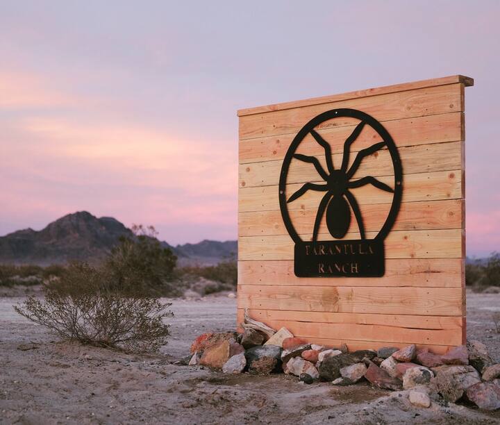 {Chardonnay} Vineyard Camping Near Death Valley - United States
