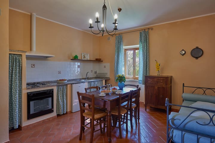 Appartamento Con Terrazza - Massa Marittima