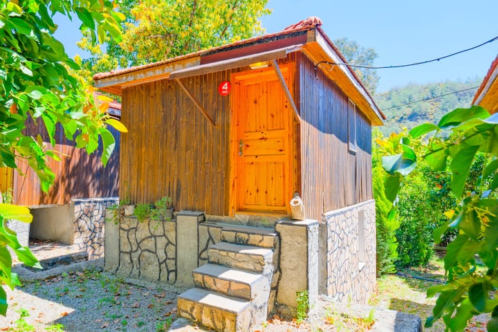 Kargı Agac Evler (Tree Houses) 4 - Fethiye