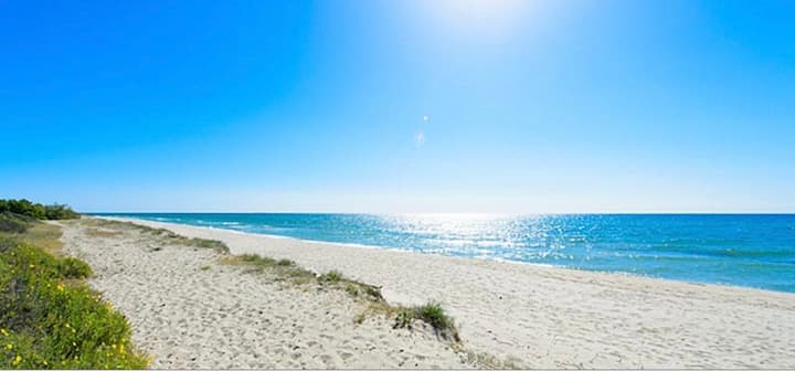 Location  100 M² Tout Confort à 2km De La Mer - Ghisonaccia