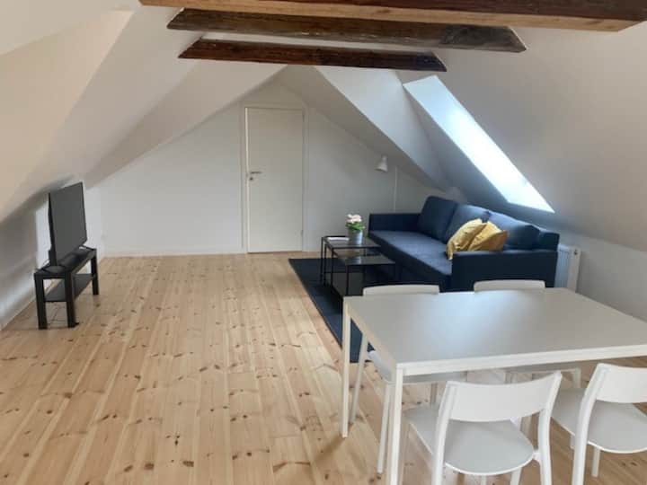 Hcø, 3._lovely Roof Apartment In Frederiksberg - Copenhaguen