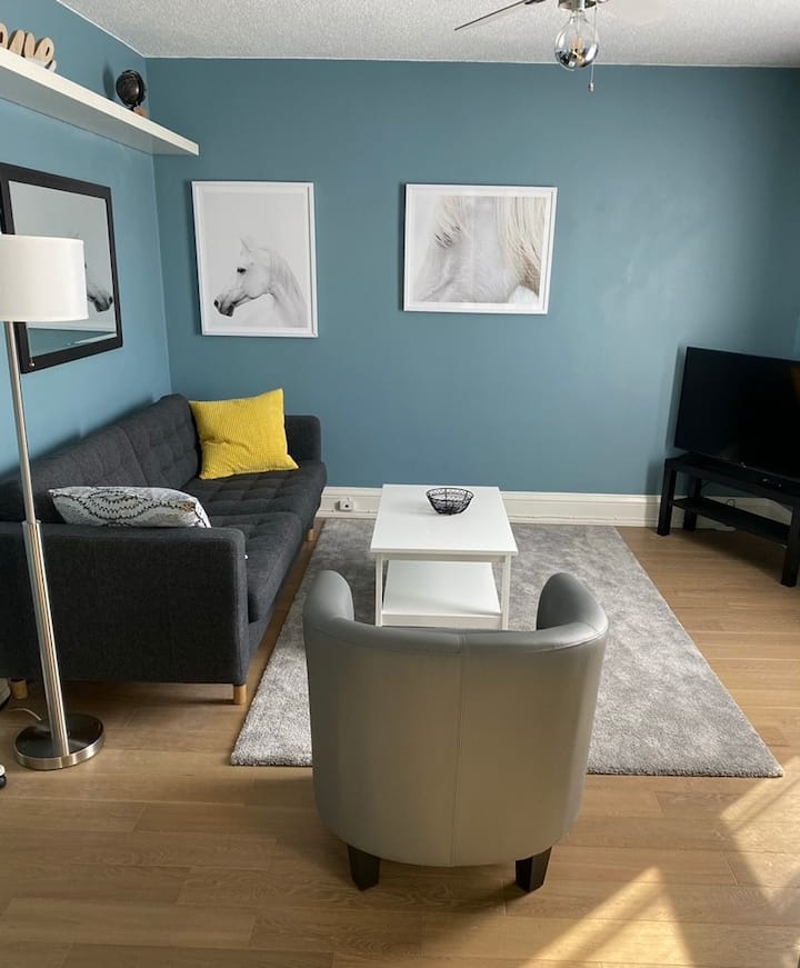 Modern 1-bedroom Condo Upper Unit Of Century Home - Brantford, ON