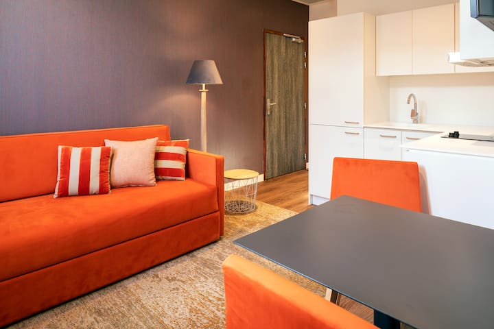 Appartement 35 M² - Garage - Spa Offert - - Saint-Gaudens