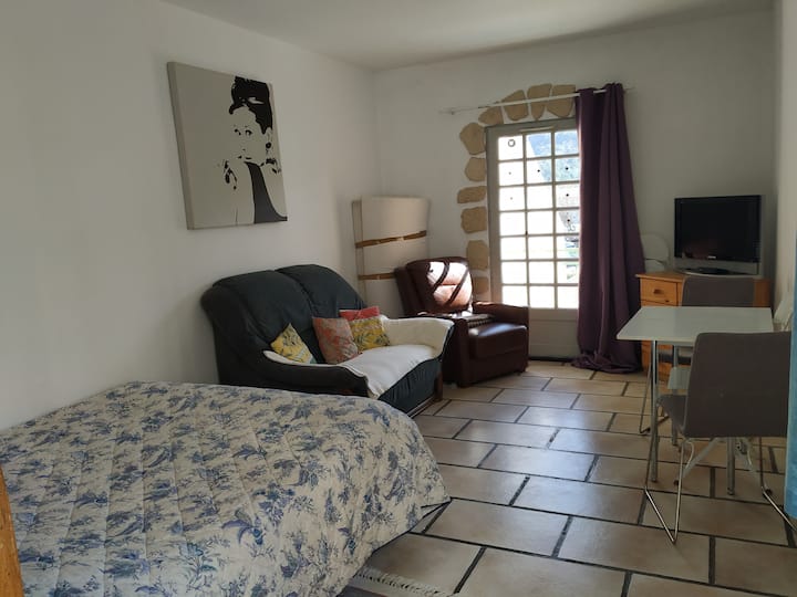 Grand Studio En Centre Village - Le Vigan