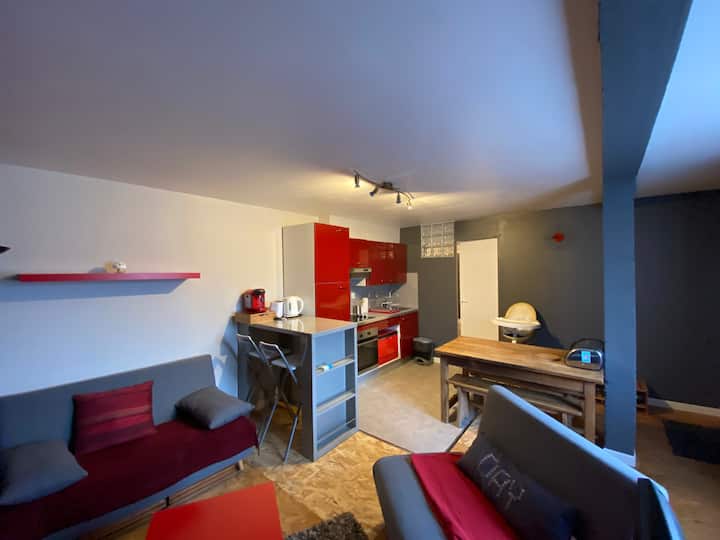 Appartement /Guest House Dans Un éCrin De Verdure - Angoulême