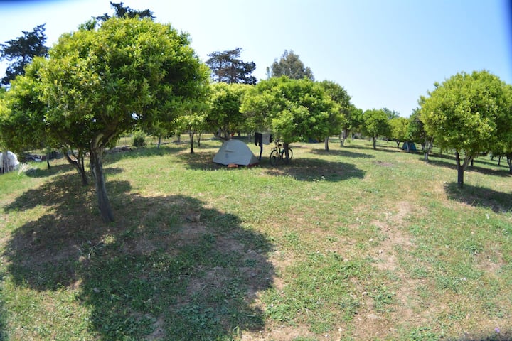 Ecofarm Camp & Bungalow - Turgutreis