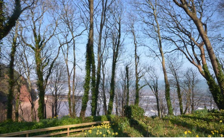 2 Dble Bedrooms, 2 Bathroom Apartment - Teignmouth