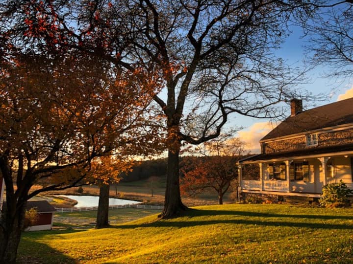 336 Acre Vegan Farm Stay & Animal Sanctuary - High Point State Park, Sussex