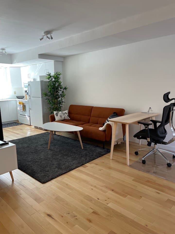 Lovely One Bedroom Apartment In Montreal - Montréal, QC