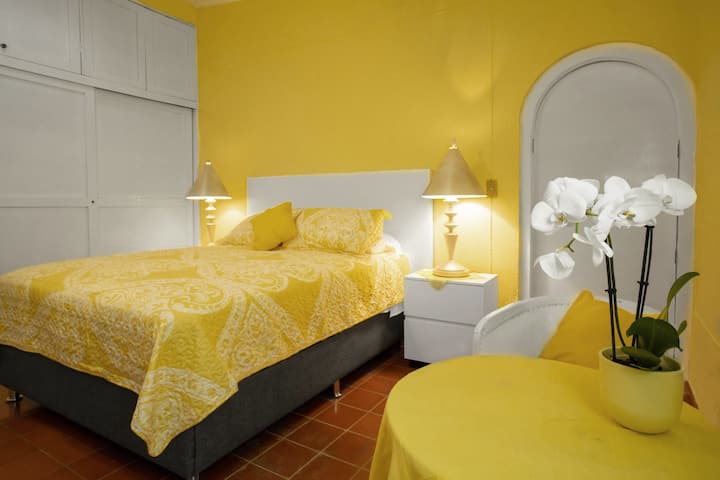 7 ~ Citrine Room - Ajijic