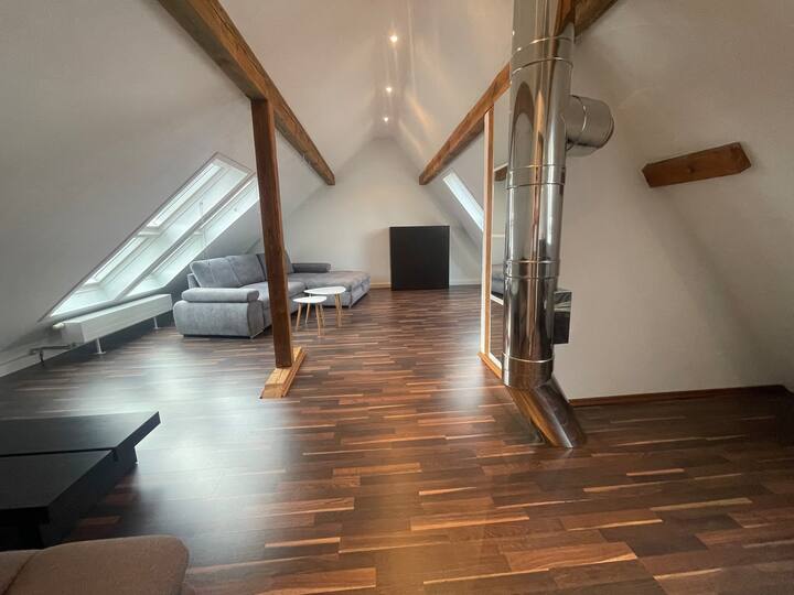 Maisonette Apart & Business Nähe Heidelberg - Sinsheim