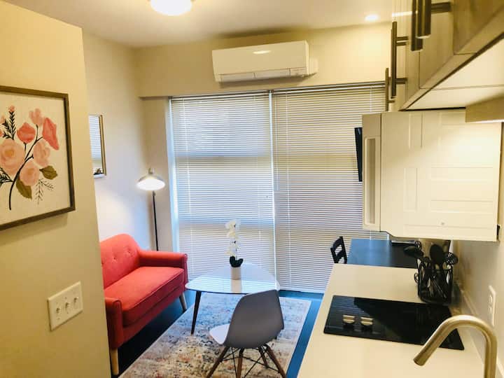 Lovely, Modern Downtown Studio (202) - Madison
