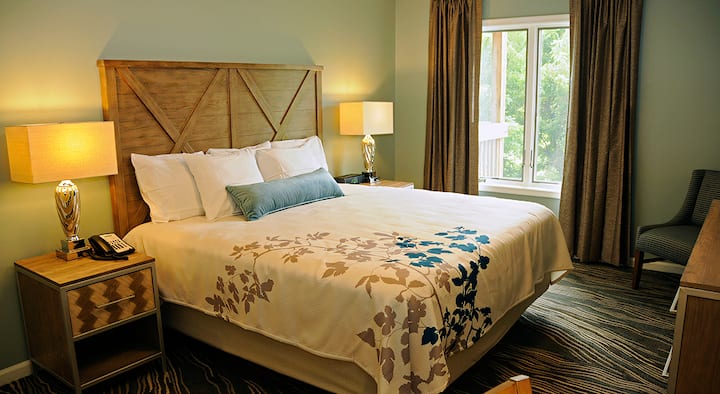 Woodstone Upscaled 2 Bedroom Mountain Side Villa A - Massanutten, VA