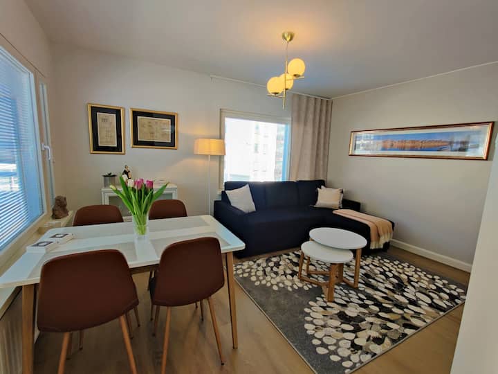 Täysin Remontoitu Ja Kalustettu Kaksio Keskustassa - Savonlinna