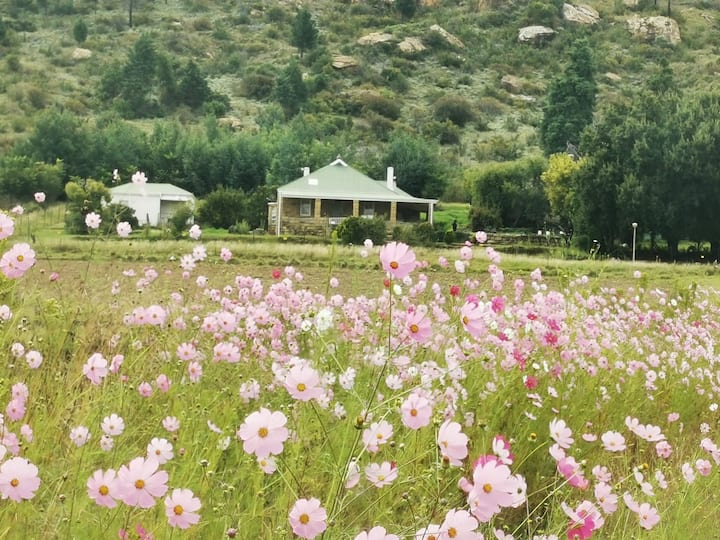 Maputsoe Vacation Rentals & Homes - Leribe, Lesotho | Airbnb