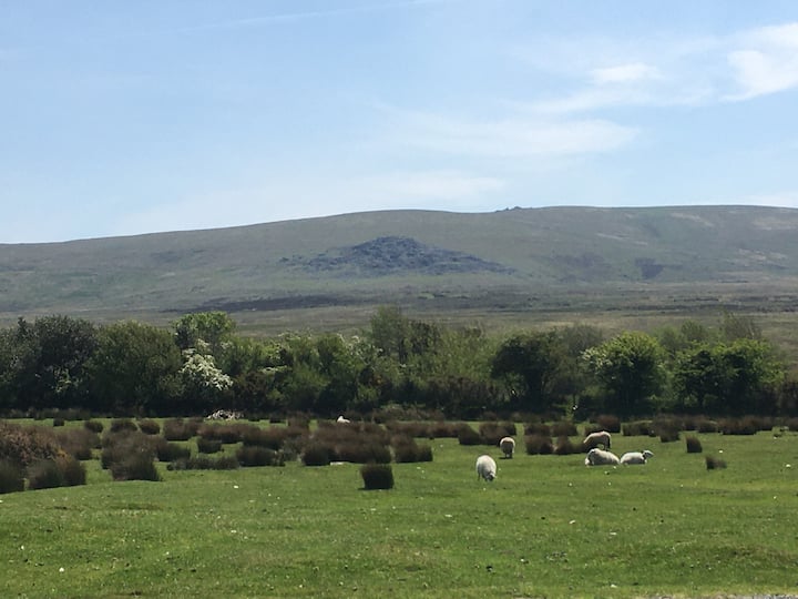 Peaceful Retreat In Preseli Hills National Park - Pembrokeshire