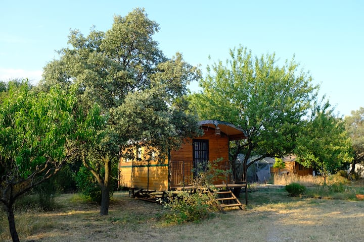 La Roulotte à Béa - Orange