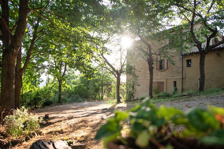 Camera A Casa Castora - Provincia di Rimini
