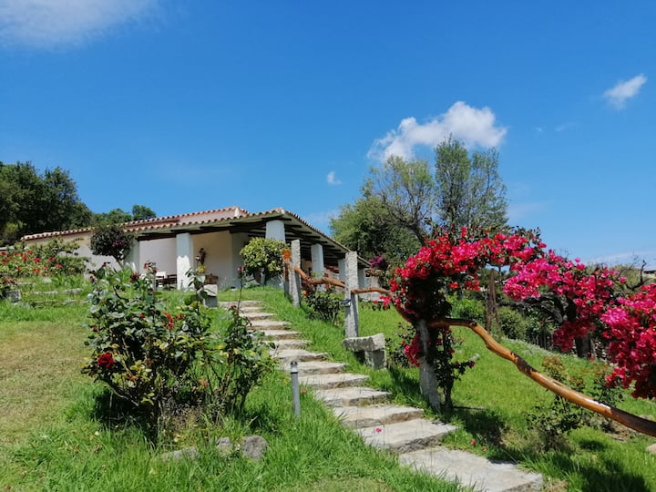 Villa Près Le Mer Du Cote D'emeraud En Sardaigne - Arzachena