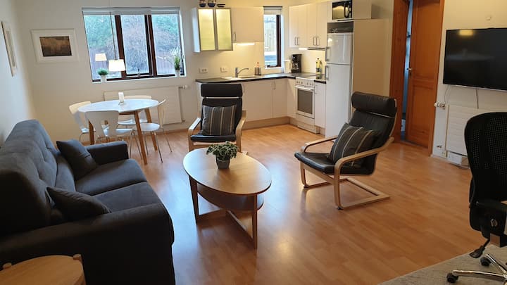 Enjoy City And Nature - Charming Apartment - Reykjavik