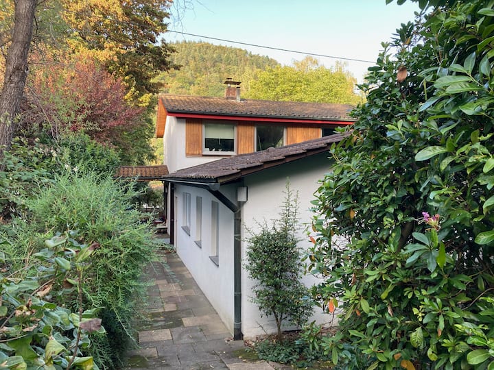Ruhige Wohnung Im Grünen In Heidelberg - Heidelberg