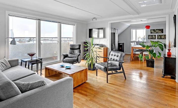 Beautiful Bright Topfloor Apartment - Reykjavik