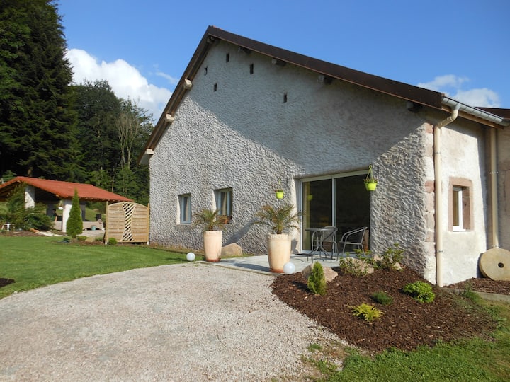 Gîte La Vosgienne - ibis budget Remiremont