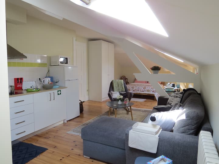 Skyaccommodations Rome Studio+ Kitchen & Sofabed. - Coimbra