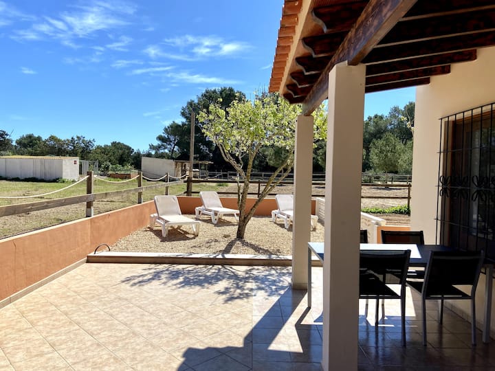Viviendas Javi Formentera D (Etf 1382) - Formentera