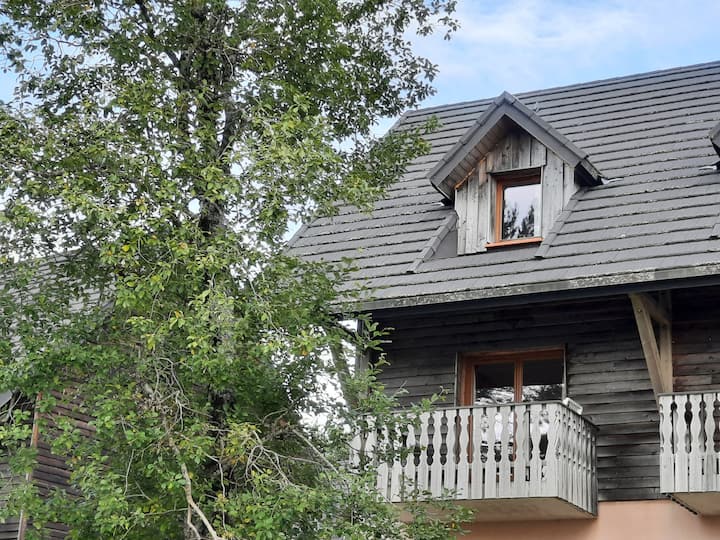 Appartement Duplex 4, 6 à 8 Personnes Super Besse - Besse-et-Saint-Anastaise