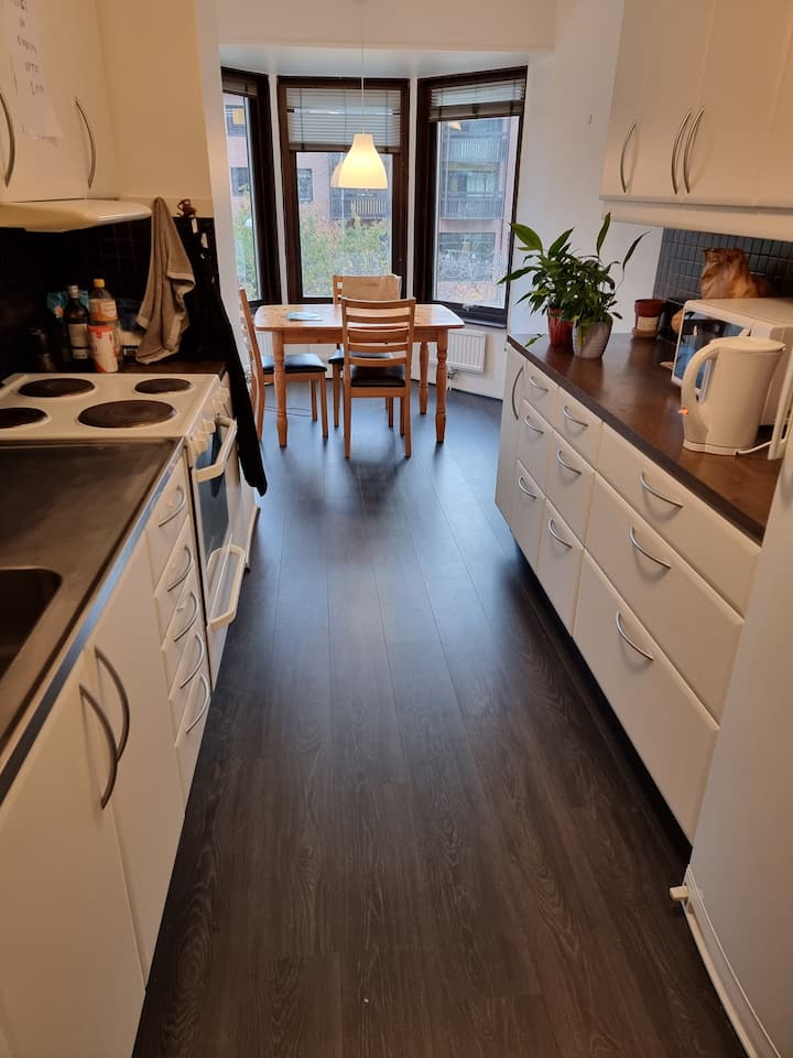 Lovel 1 Bed Room Close To The City Center - Göteborg