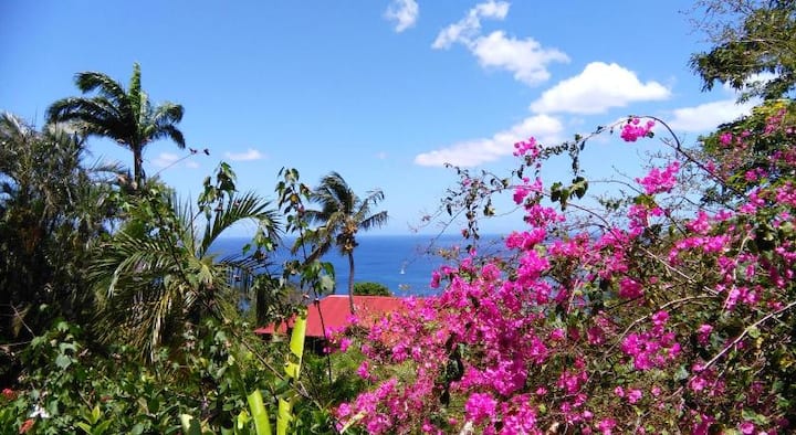 Deshaies - Villa Kaz A Nou - 2 à 8 Personnes - Guadeloupe
