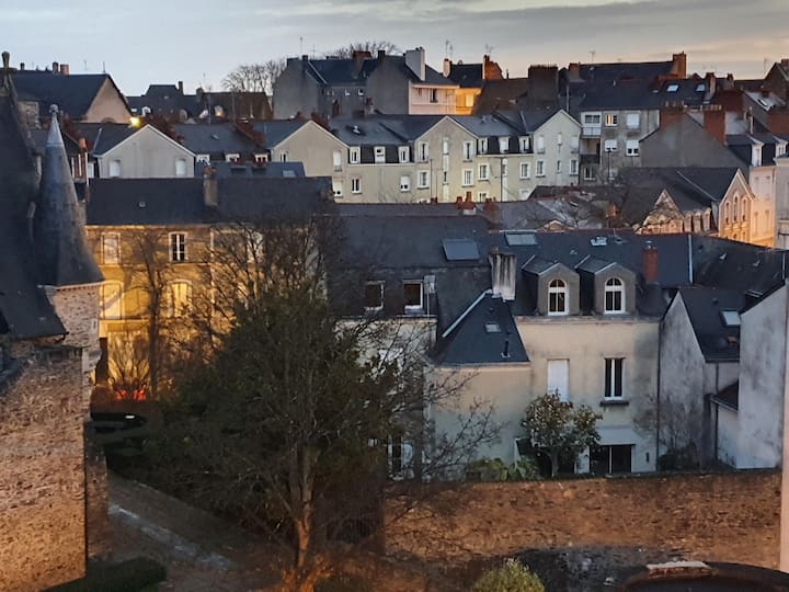 Appartement Cosy Avec Parking Dans La Doutre - Angers