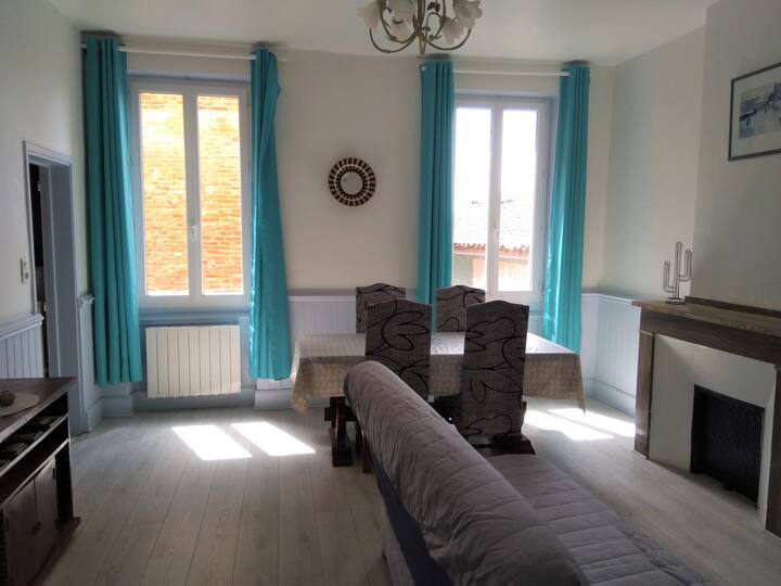 Coquet Logement Au Coeur Des Animations Albigeoise - Albi