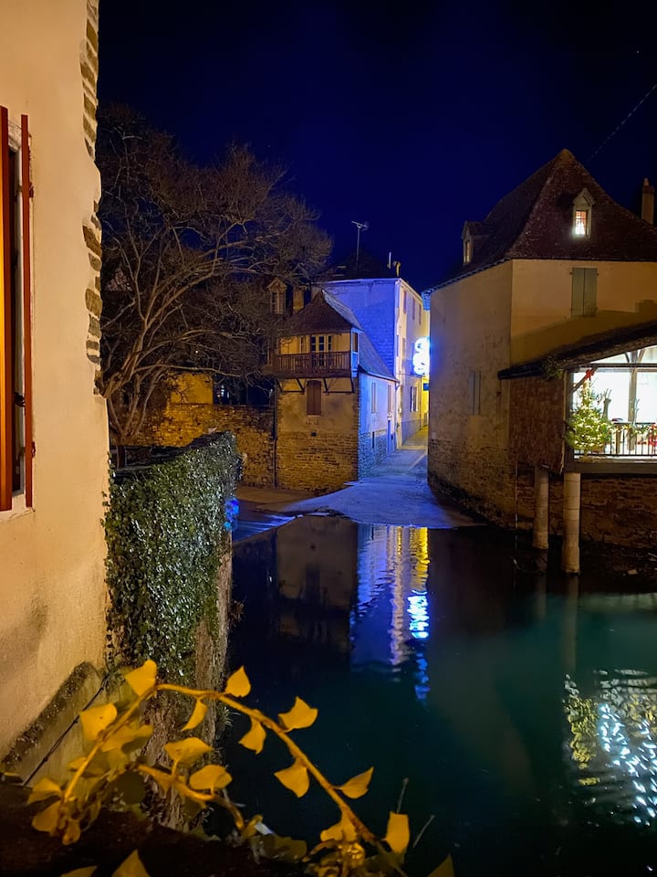 Le Petit Bijou-17th Century Townhouse In The Bearn - Salies-de-Béarn