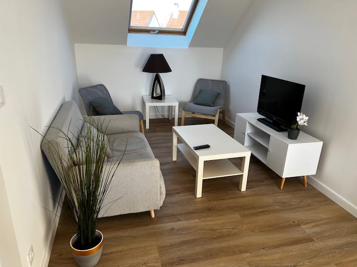 Appartement Sud Seine Et Marnais - Nemours