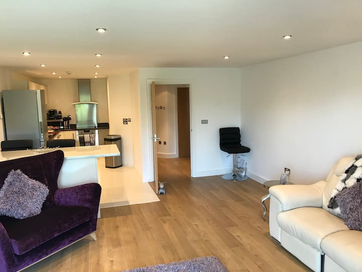 Cardiff Bay River-view Apartment - Cardiff