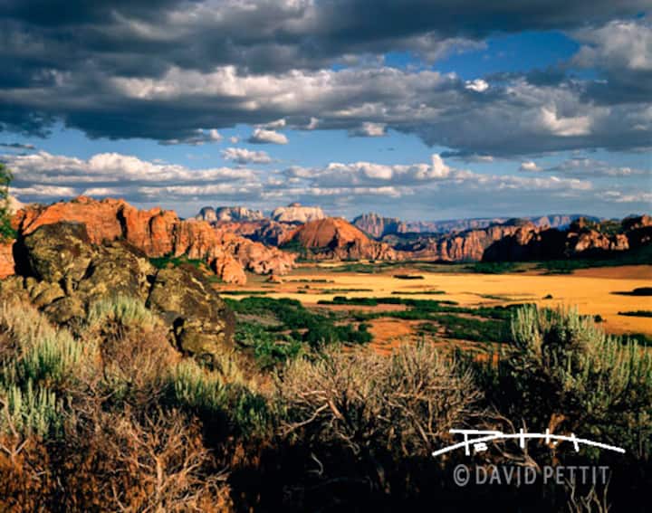 An Artists  2 Bedroom  Riverside Home & Art Studio - Springdale, UT