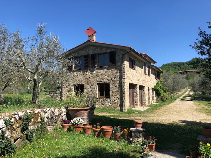 Villa Umgeben Von Olivenhainen - Tuscany
