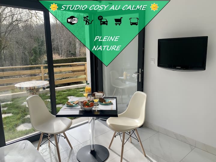 ☀️🏡 Studio Meuble Neuf Avec Grande Terrasse ⛰☀️ - Lac d'Aydat