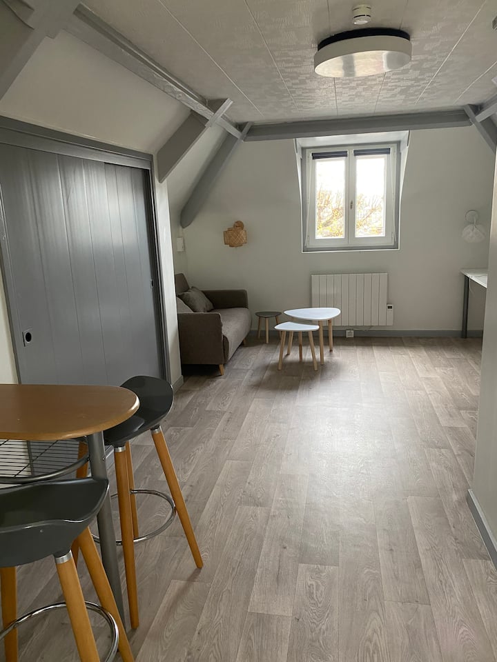 Rouen Gare
Joli Studio Indépendant - Mont-Saint-Aignan