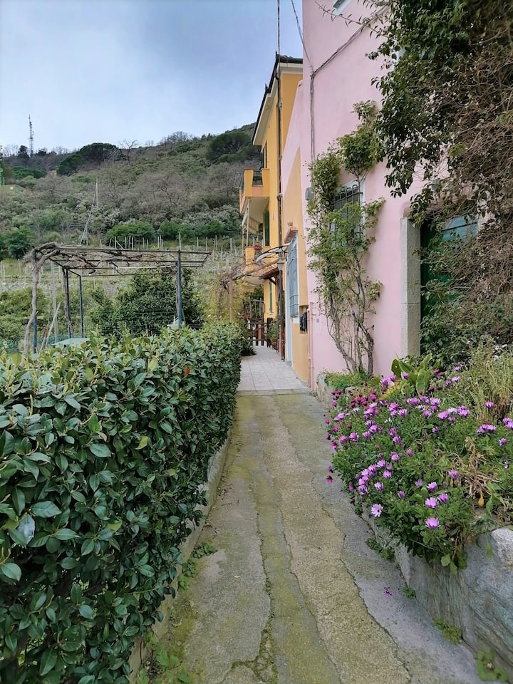 Casa Ninetta, Among Sea And Nature. - Noli