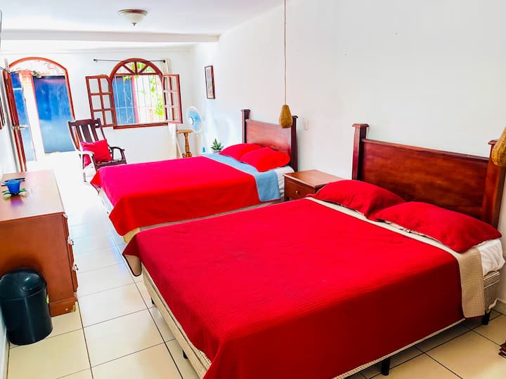 Palomas Blancas Y Garzas Morenas - Managua