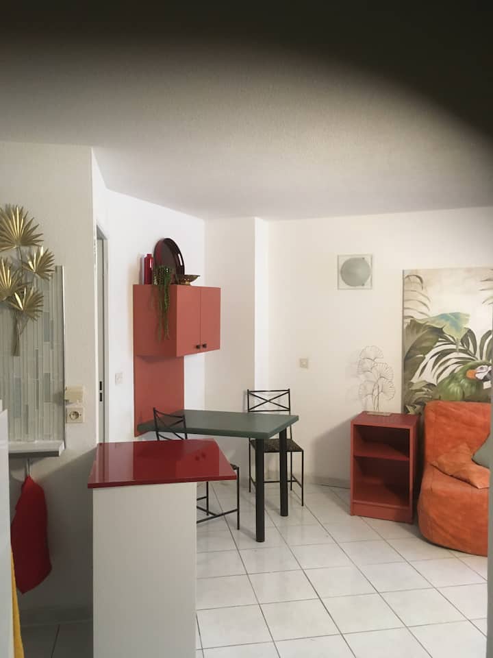 Superbe Studio - Perpignan