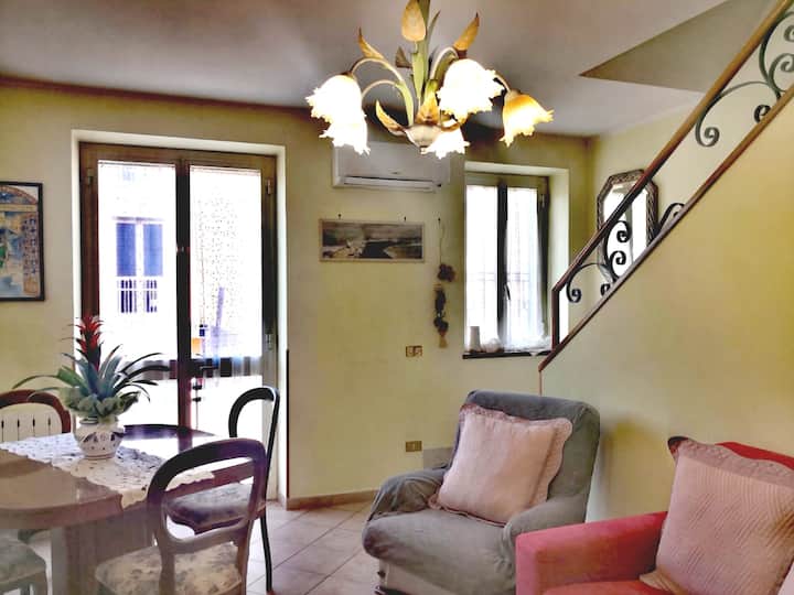 Casa Cavalluccio Marino - Viareggio