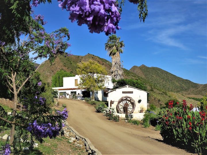 Romantic Old Style Guesthouse & Restaurant - Montagu