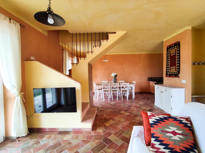 Antiquaelunae Casali - Callistemon - Carrara