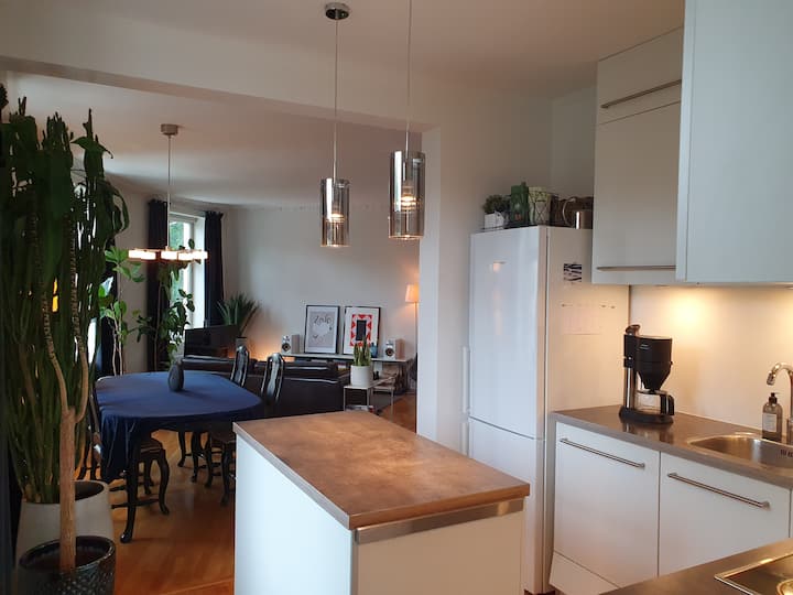 Flott Og Sentral Leilighet - Oslo
