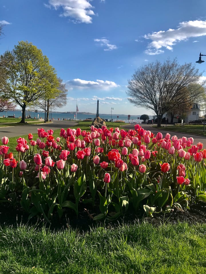 Sunshine And Sea Breezes - Lynn